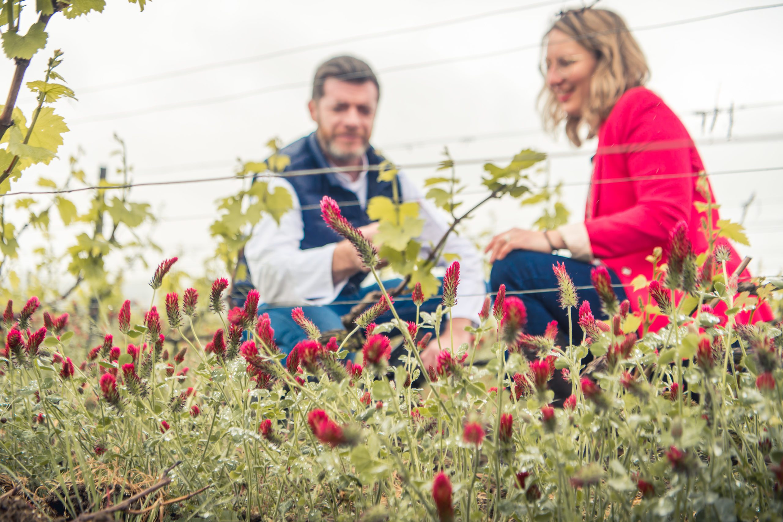 Notre rôle | Extranet de l'Aube